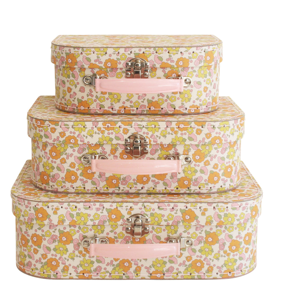 Kids Carry Cases – alimrosewholesale